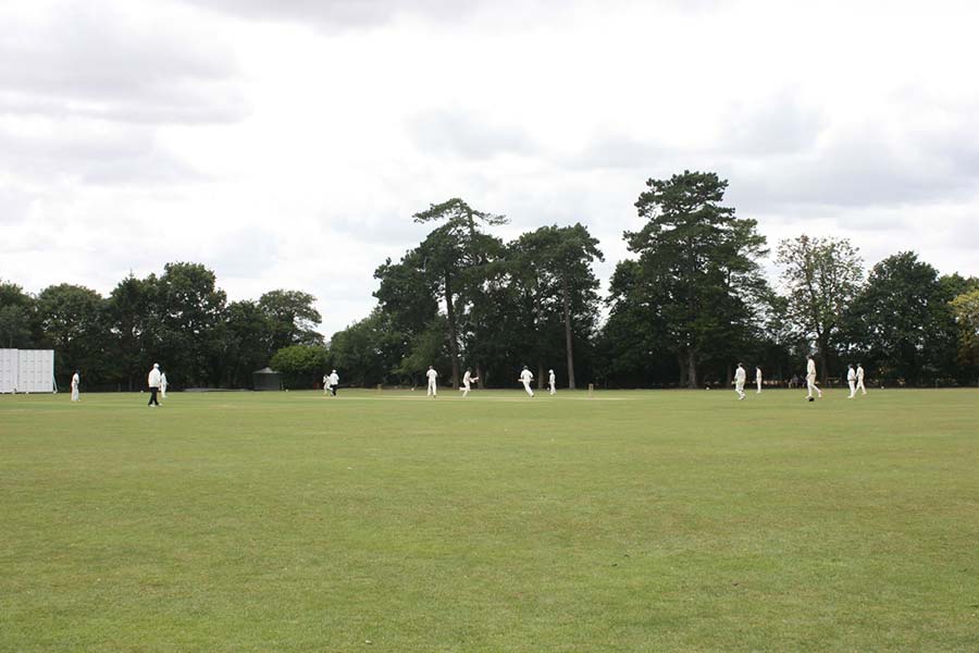 Halstead C.C. – North Essex Cricket League (NECL)